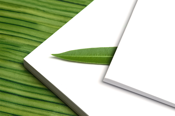 Eco Friendly Printing | Visual Print